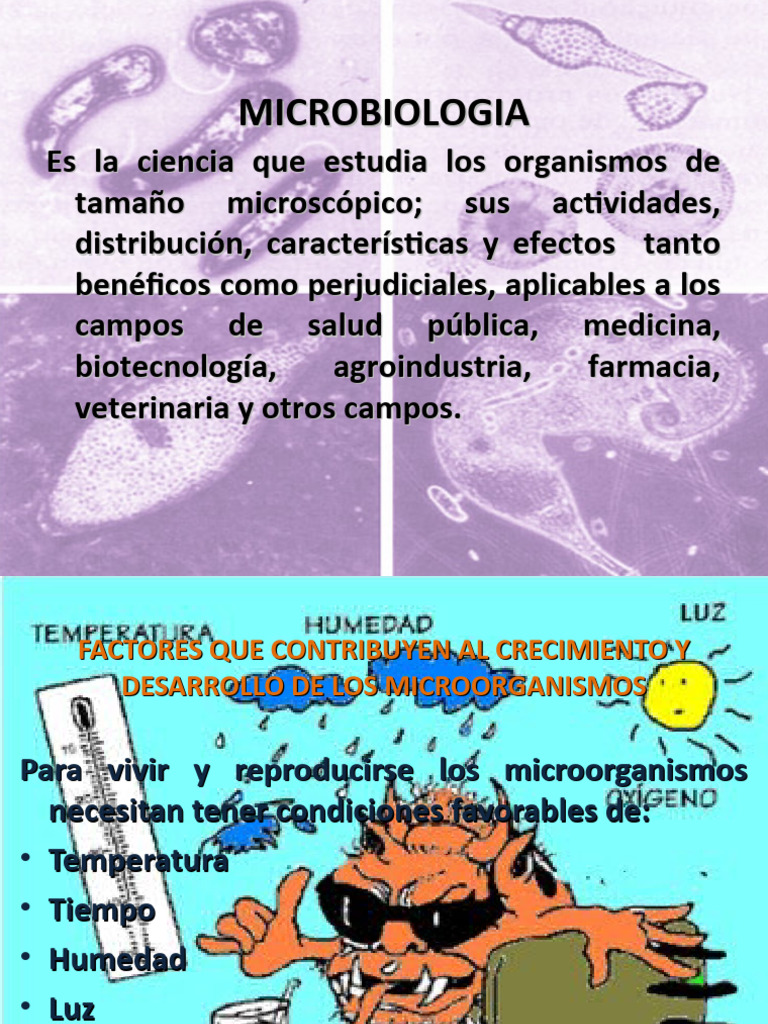 Microbiologia de La Alimentos | PDF | Alimentos | Agua