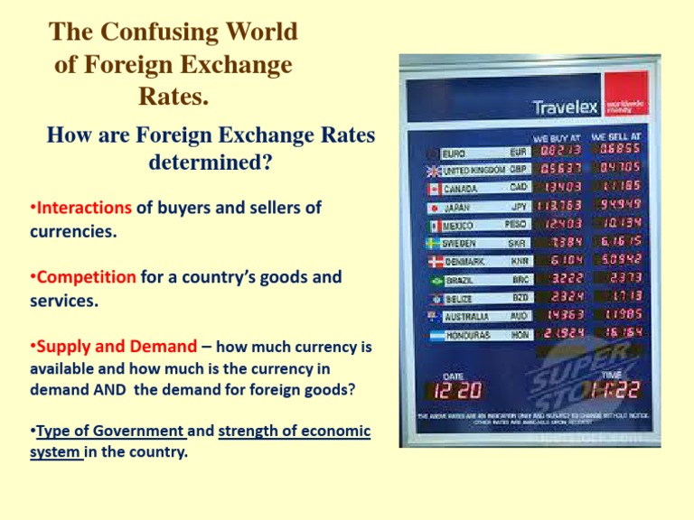 Understanding Foreign Exchange Rates | PDF | Politics