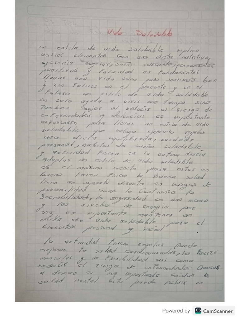 Andrés Roa SST | PDF