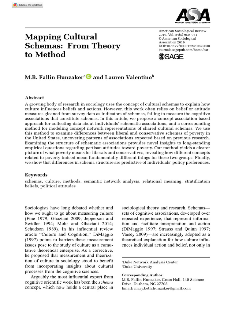 Mapping Cultural Schemas in Sociology | PDF | Attitude (Psychology ...