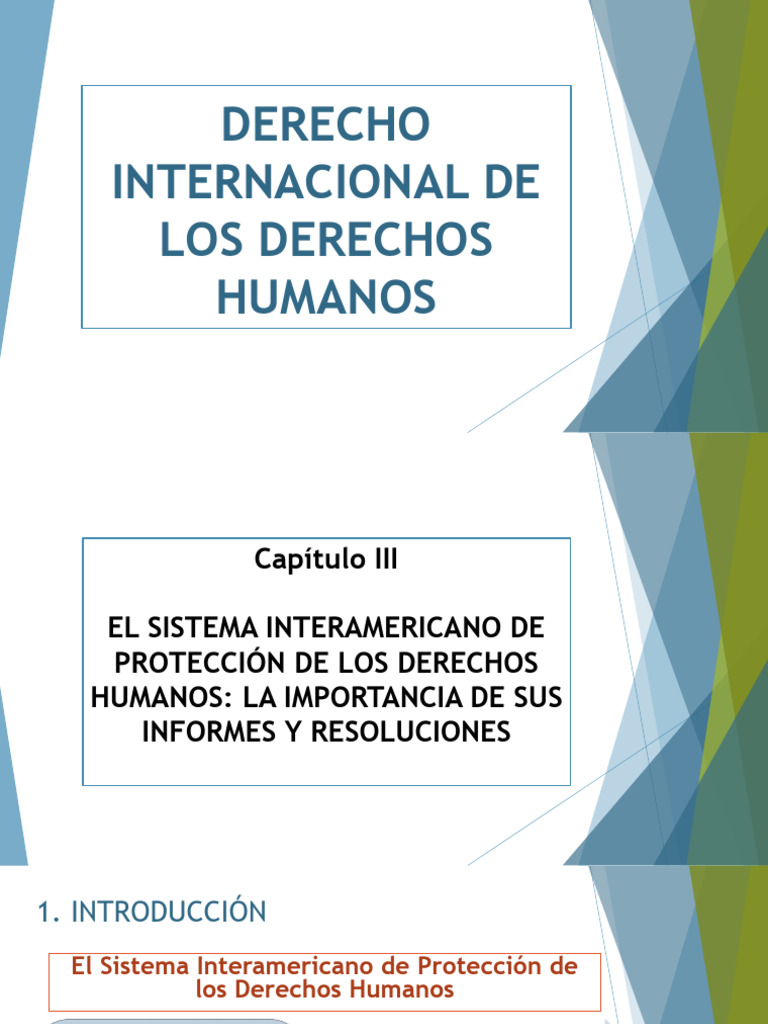Capitulo Iii. El Sistema Interamericano de Protección de Los Derechos Humanos La Importancia de ...