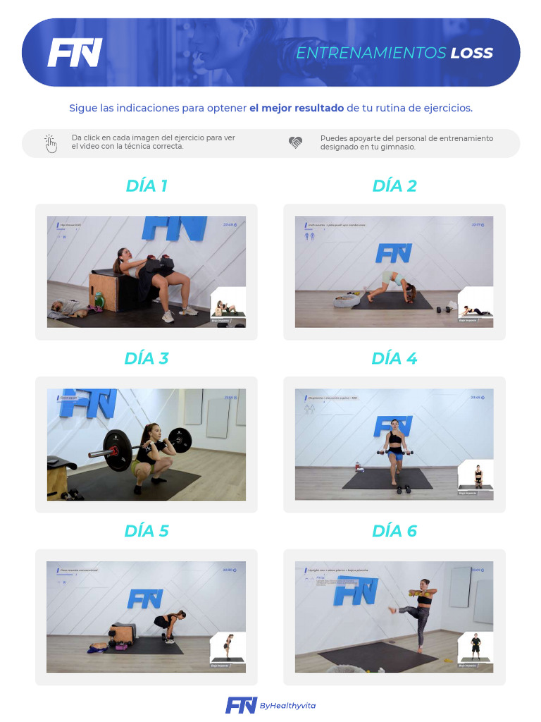 Entrenamientos Loss FTN Compressed | PDF