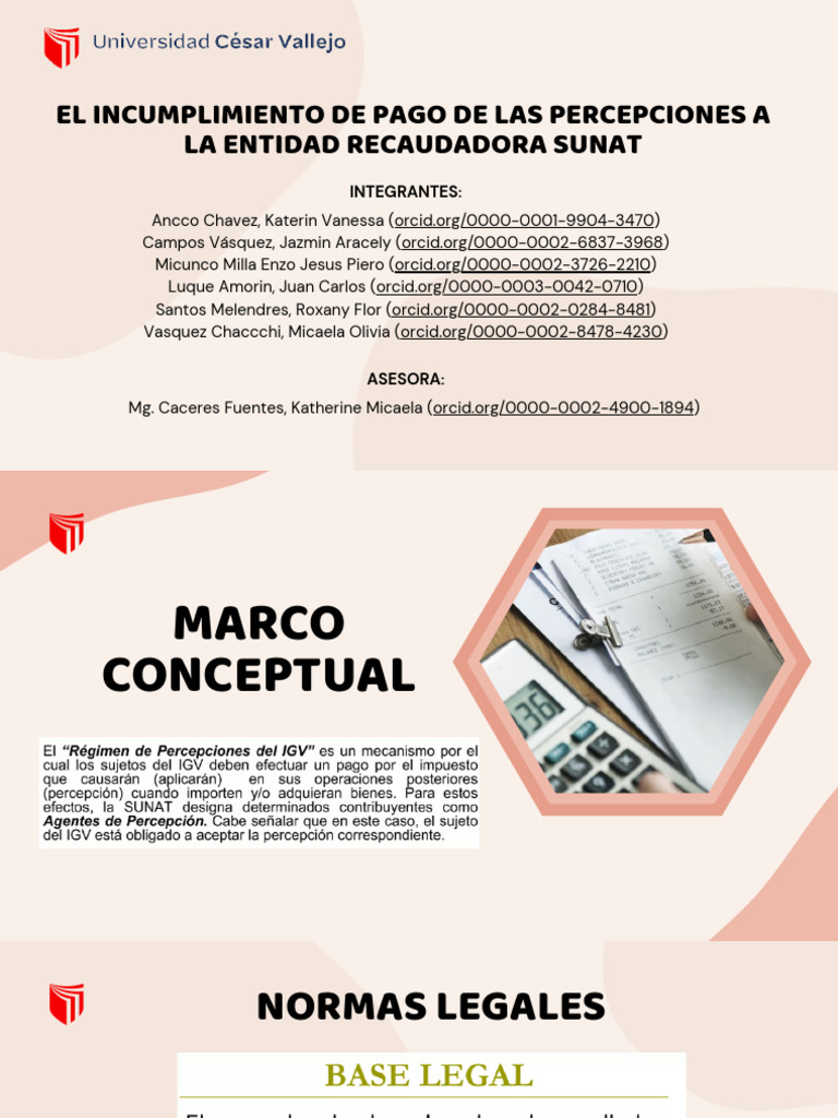 Exposición de Las Percepciones | PDF