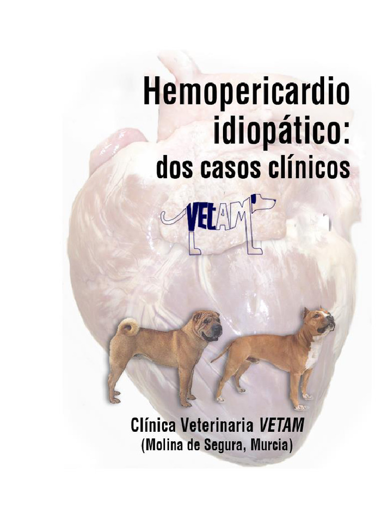 EFUSION PERICARDICA IDIOPATICA | PDF | Corazón | Medicina