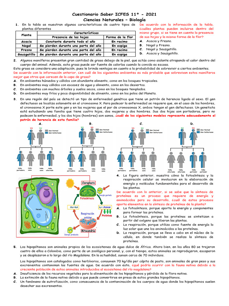 Cuestionario - Biología - Preguntas Prueba Saber ICFES 11° | PDF | Adn | Proteínas