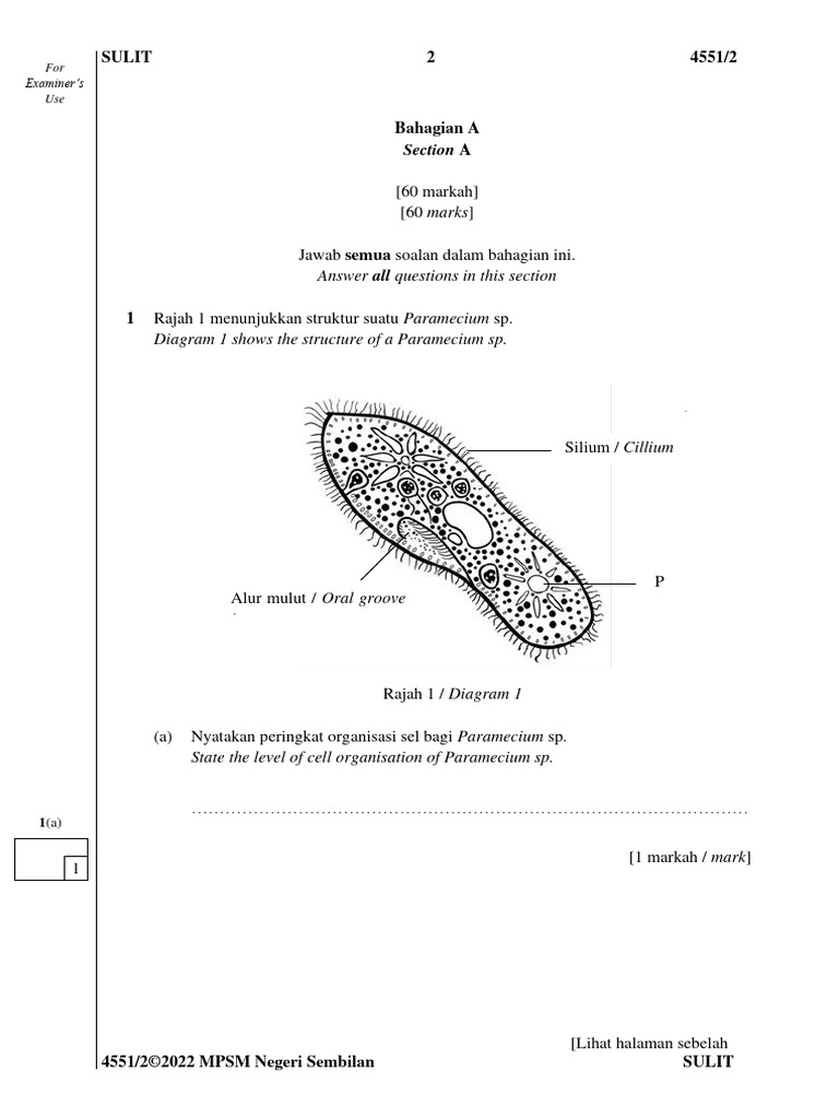 Bahan MMI BIO F4 | PDF