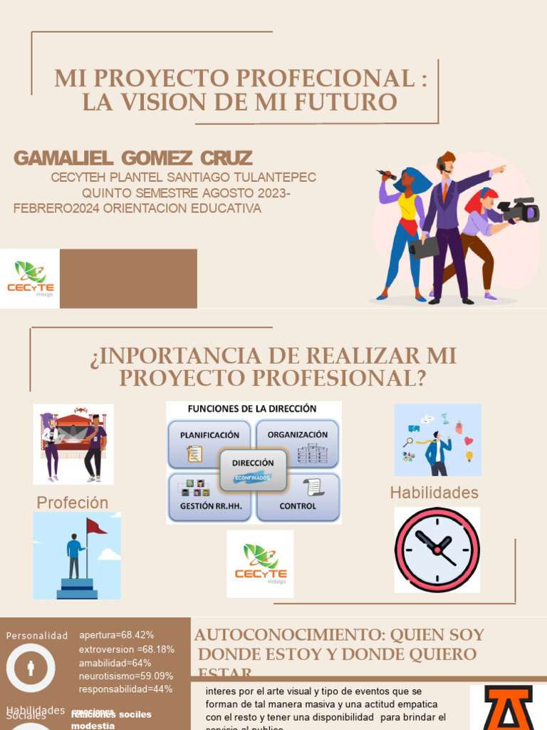Proyecto Profesional Ejemplo | PDF