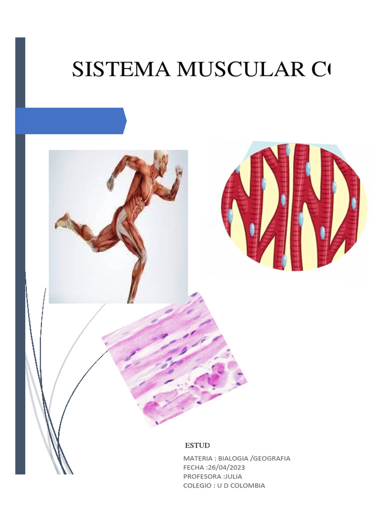 El Sistema Muscular Como Generador de Múltiples Movimientos Del ...