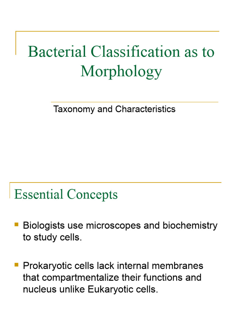 Bacterial Morphology and Classification Guide | PDF | Bacteria | Cell ...