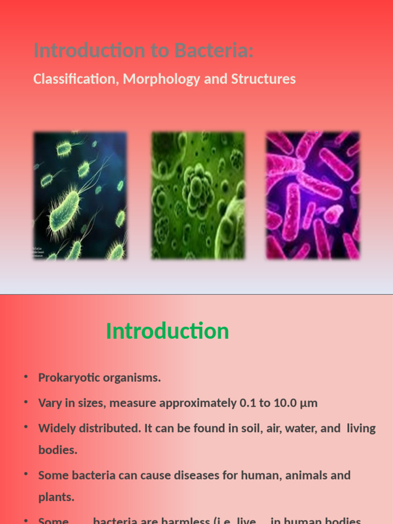Bacterial Classification As To Characteristics | PDF | Bacteria | Cell ...
