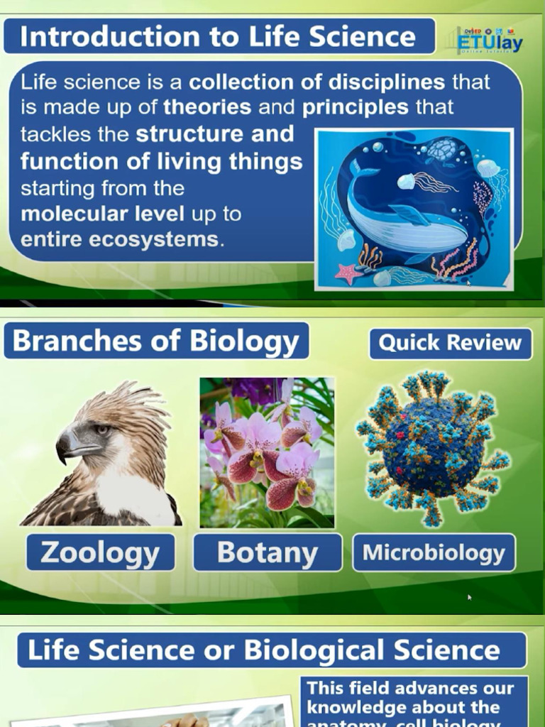 History of Life | PDF