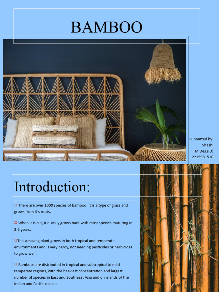 Bamboo | PDF | Bamboo | Fibers
