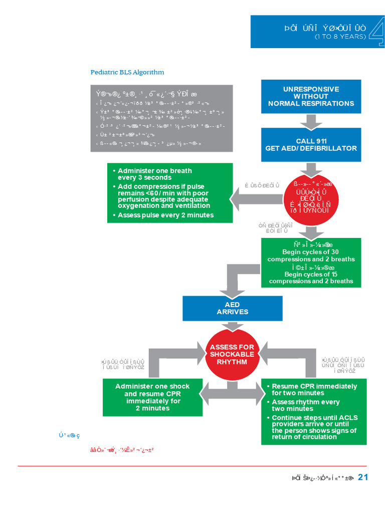 Pediatric BLS Algorithm | PDF | Human Diseases And Disorders | Public ...