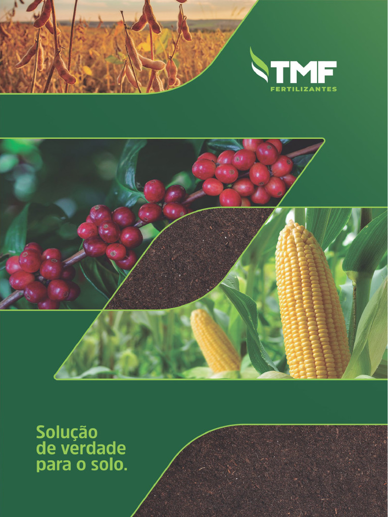 Folder Técnico TMF - 2023 | PDF