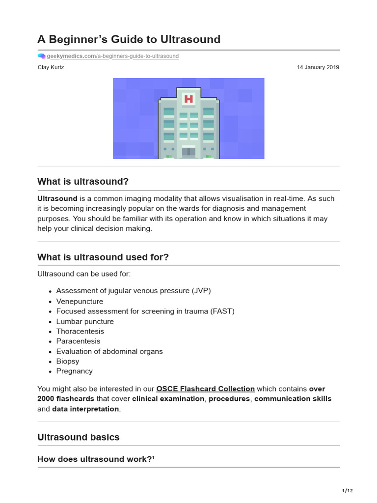 Beginner's Guide to Ultrasound Basics | PDF | Medical Ultrasound | Vein
