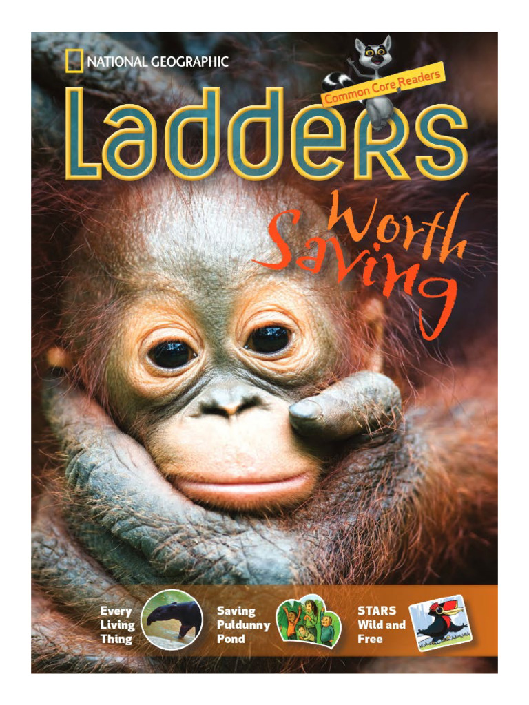 Basic 3 - Book | PDF