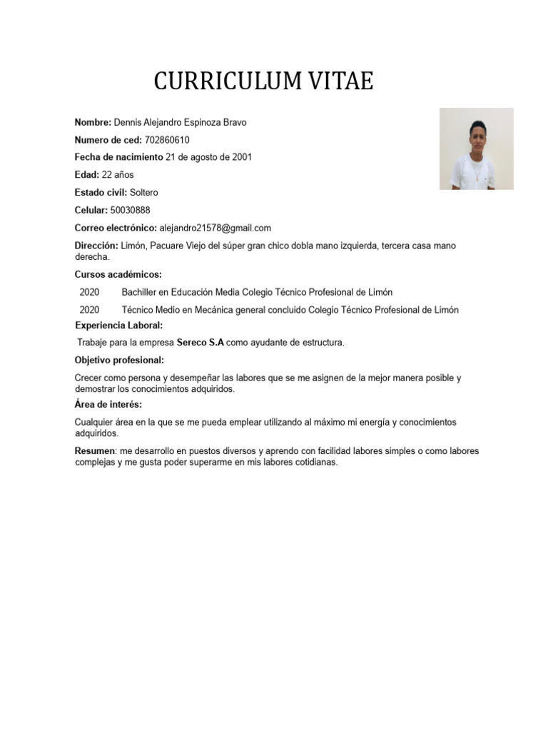 0 - Curriculum Vitae Dennis | PDF