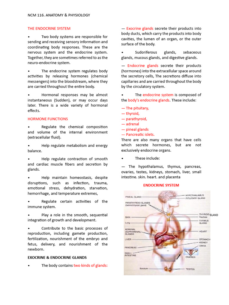 Endo Anaphysio | PDF | Adrenal Gland | Luteinizing Hormone