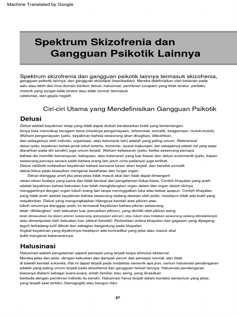 Memahami Halusinasi dan Delusi Psikotik | PDF