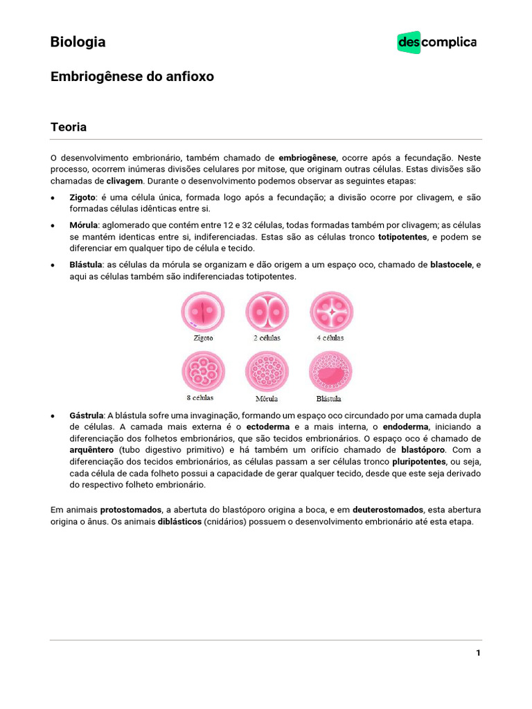 Embriogênese do Anfioxo: Etapas e Exercícios | PDF | Ovo | Reprodução
