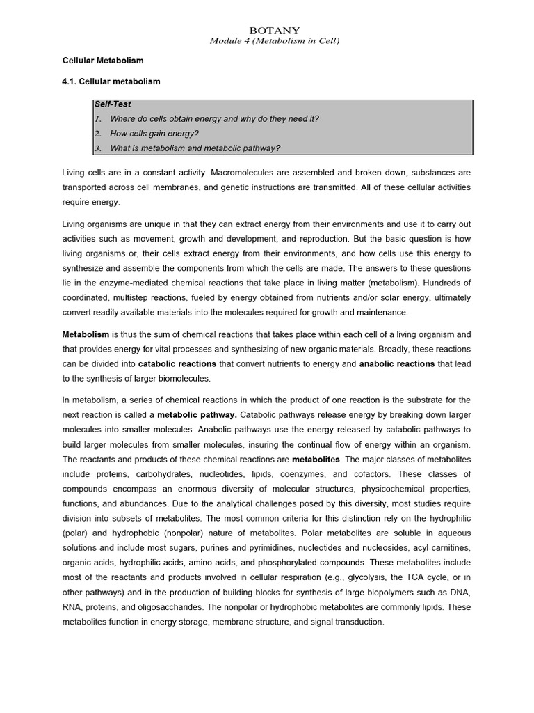 Botany Module 4. | PDF | Glycolysis | Diet & Nutrition