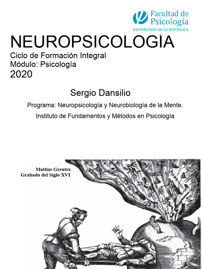 Organización Del SNC | PDF | Corteza cerebral | Cerebro