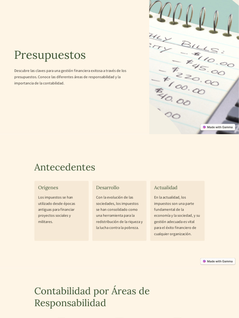 Presentacion en Equipo de Presupuestos | PDF | Presupuesto | Planificación