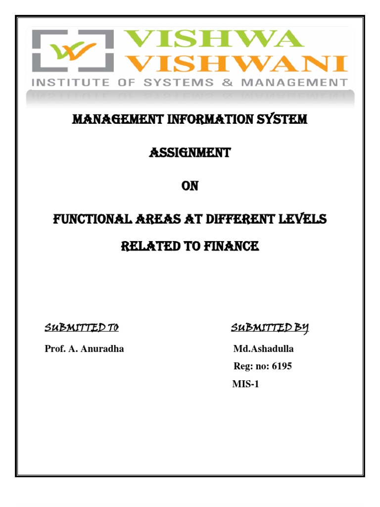 Management Information System Assignment On Functional Areas at Different Levels Related To ...