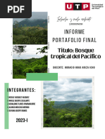 Sabana Húmeda de Palmeras en Perú | PDF