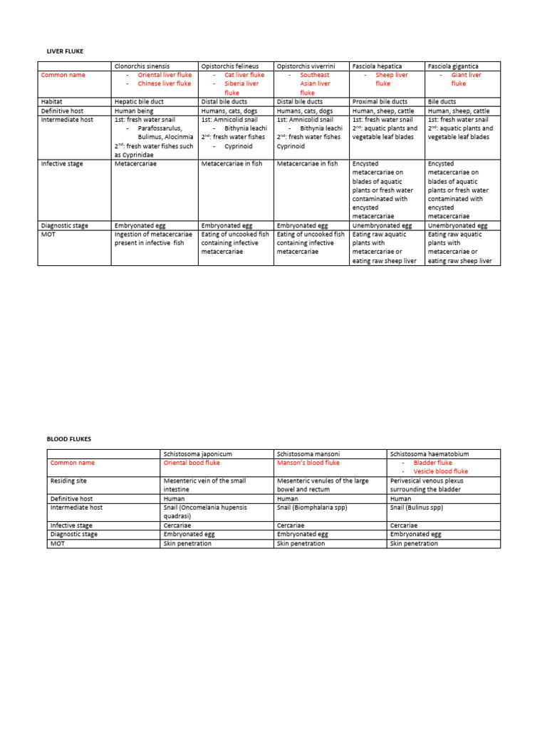 Liver Fluke | PDF | Liver | Medical Specialties