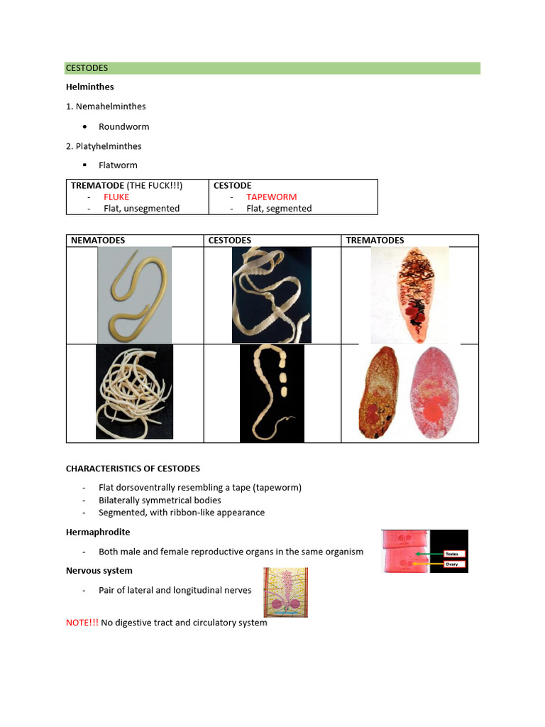 CESTODES | PDF | Clinical Medicine | Diseases And Disorders