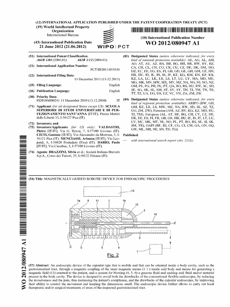 PATENTE Capsule Endos | PDF