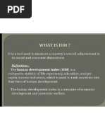 HDI Project Class12 | PDF