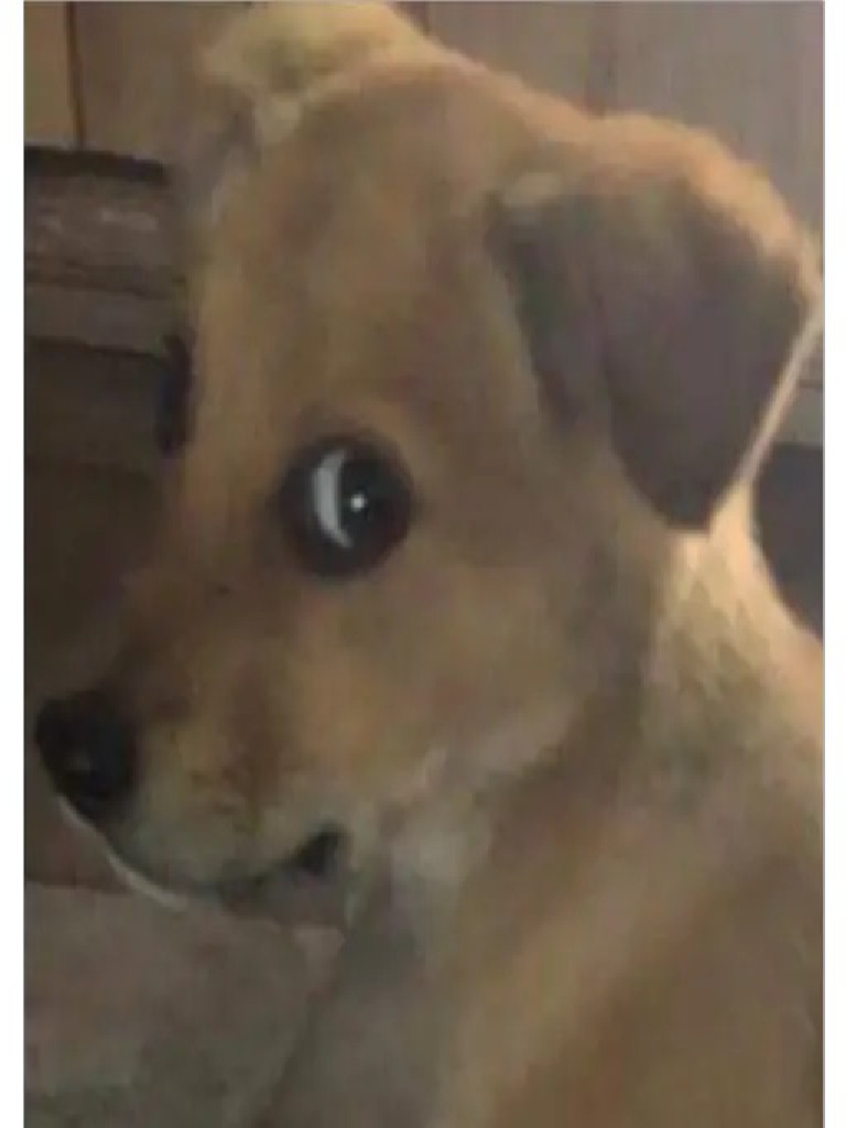 STK 20221211 Wa0000 | PDF