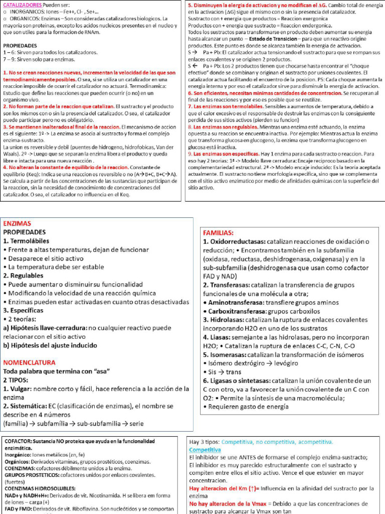 ERA 1 Bioq | PDF | Mitocondria | Redox