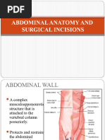 Rutherford Morrison Incision Summary | PDF