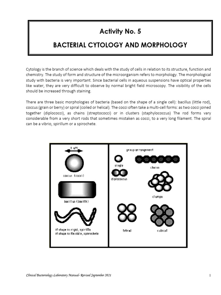Activity No. 5 | PDF | Bacteria | Cell (Biology)