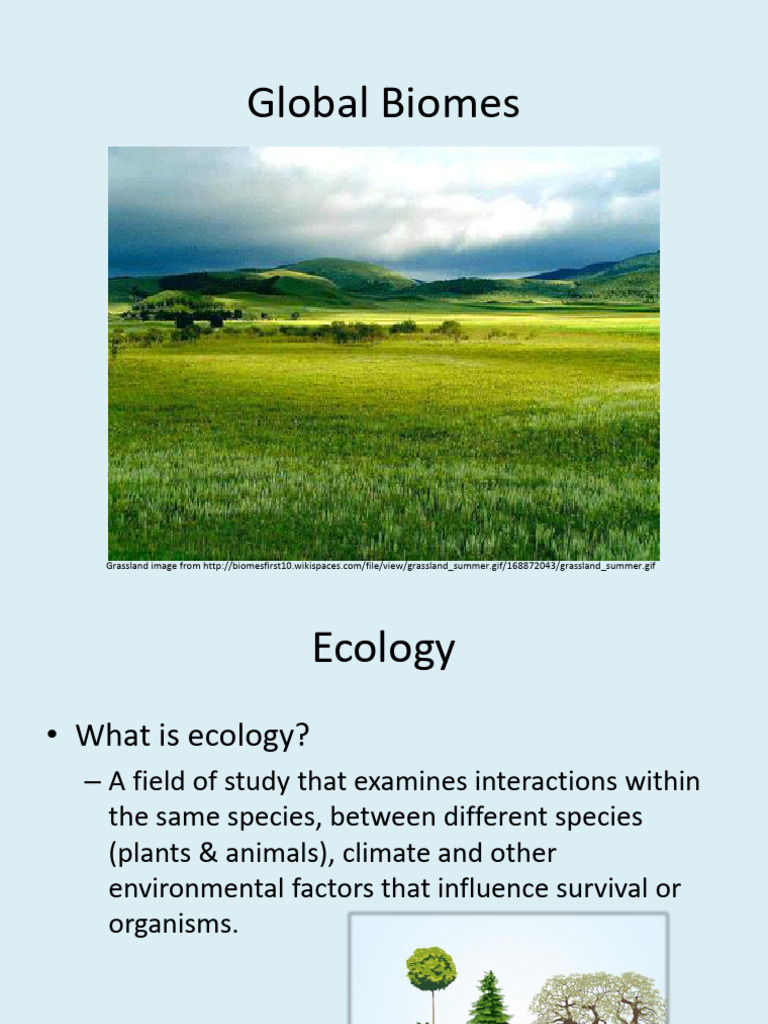 Biomes | PDF | Forests | Tropics