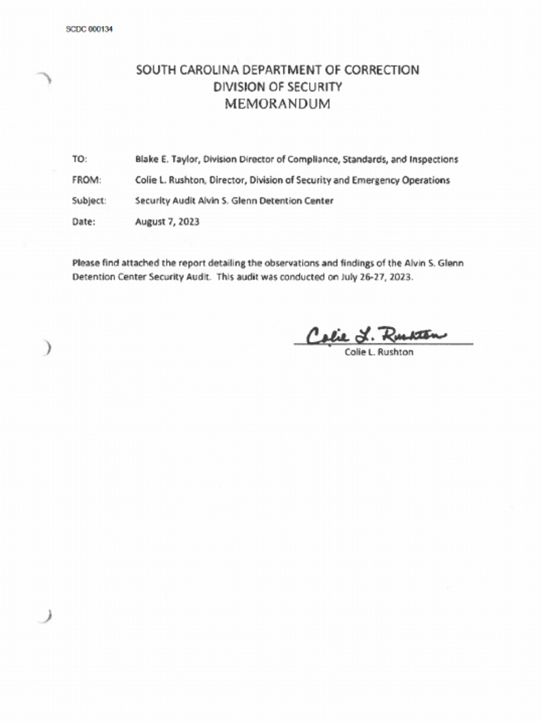 Security Audit Report - Redacted | PDF