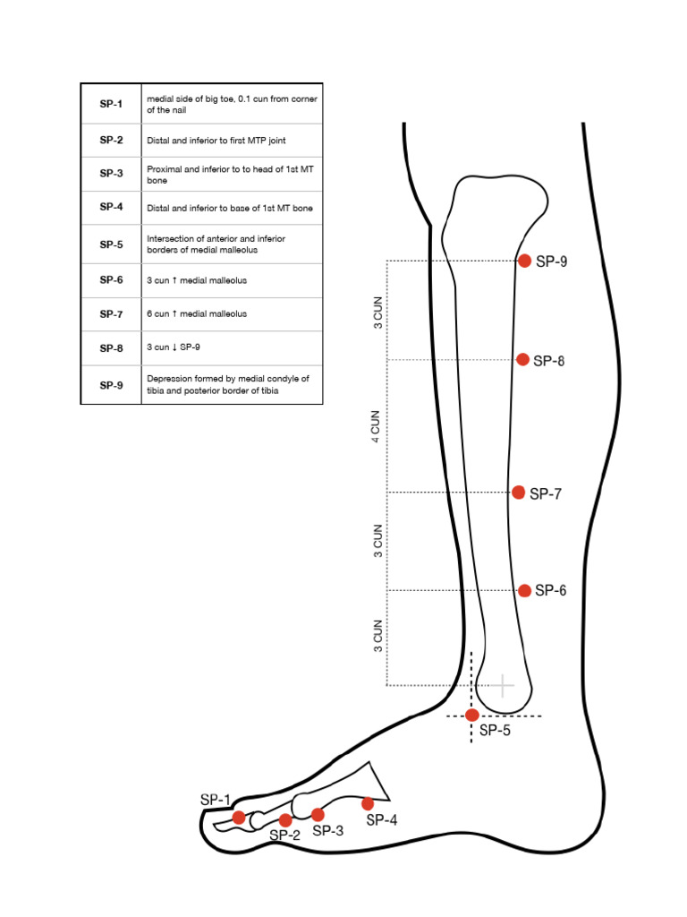 Sp 1 Sp 2 Sp 3 Sp 4 Pdf