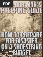 Prepping Matrix (V 1.0) | PDF | Foreign Language Studies | Wellness