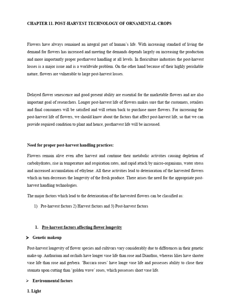 CHAPTER 11. Post Harvest Handeling | Download Free PDF | Leaf | Water CHAPTER 11. Post Harvest Handeling | Download Free PDF | Leaf | Water