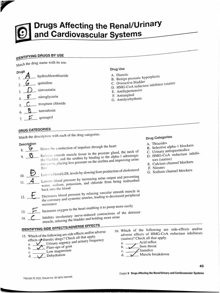 Renal Drugs | PDF