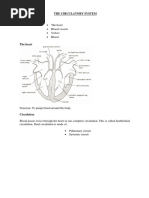 Blood and Circulation, iGCSE Biology | PDF | Circulatory System ...