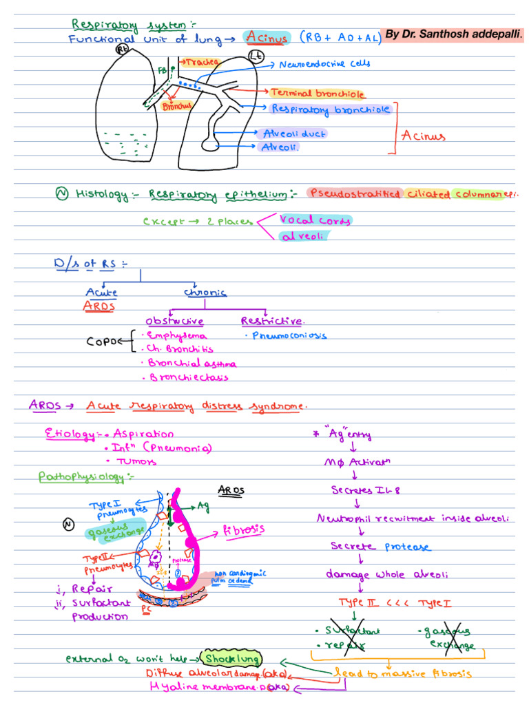 Respiratory Path | PDF