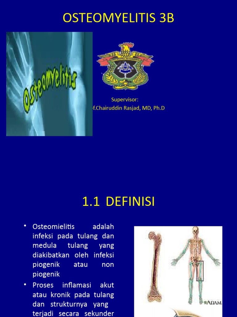 Prof. Chairuddin Rasjad Osteomyelitis | PDF