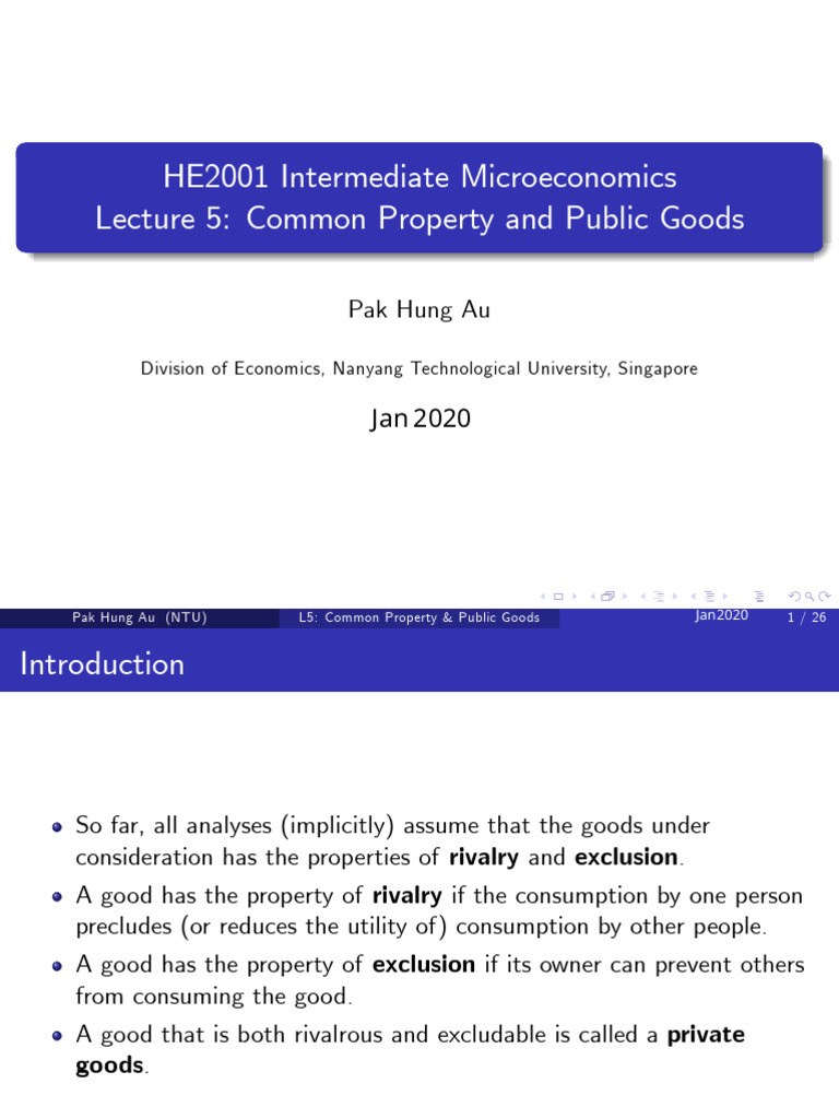 Lecture 5 Common Property and Public Goods | PDF | Goods | Externality