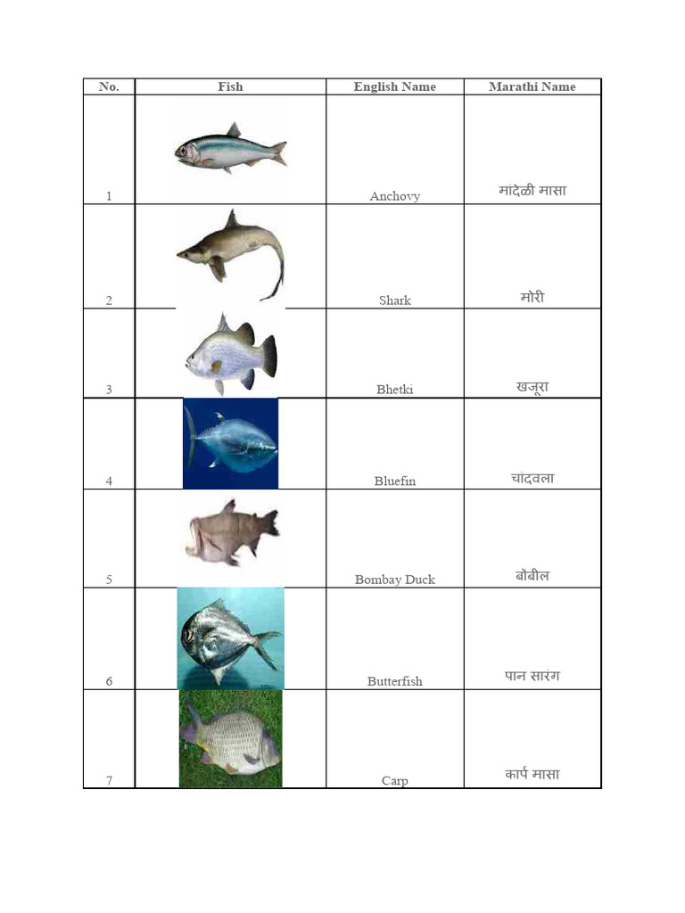 Fish Names in Marathi | PDF | Fishing Industry | Aquatic Animals