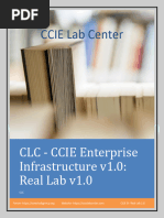 CCIE EI v1.1 - Deploy Lab 1 - Section 1 - 24-Nov-2023 | PDF | Internet ...