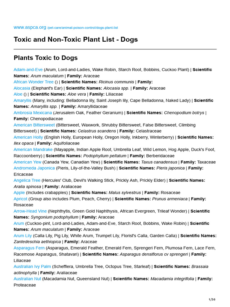 Toxic and Non-Toxic Plant List - Dogs | PDF | Cannabis | Medicinal Plants